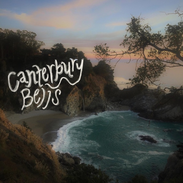 Canterbury Bells - Angora